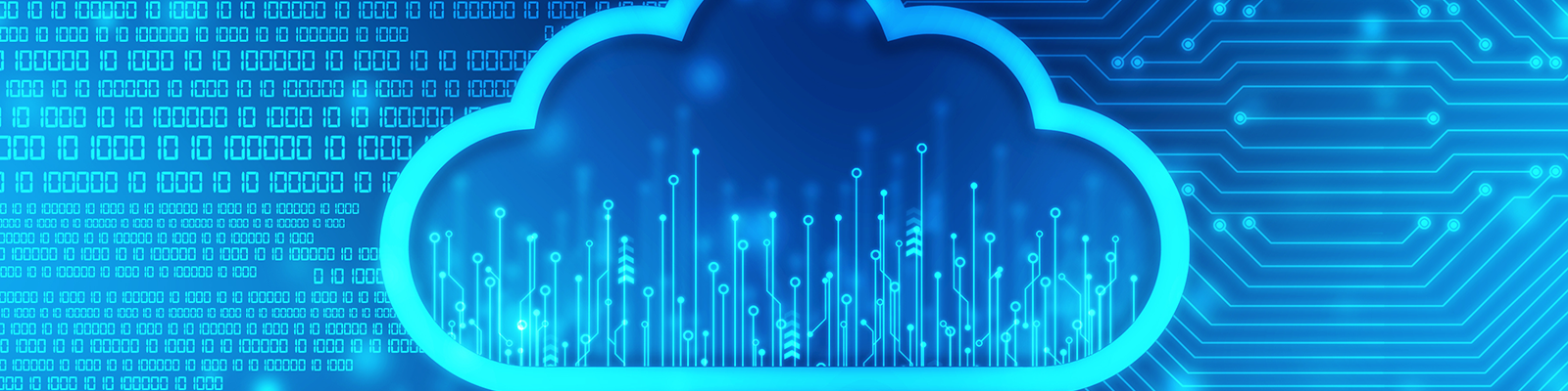 Enterprise, Edge and Cloud Networking Training | Intel® Network Builders